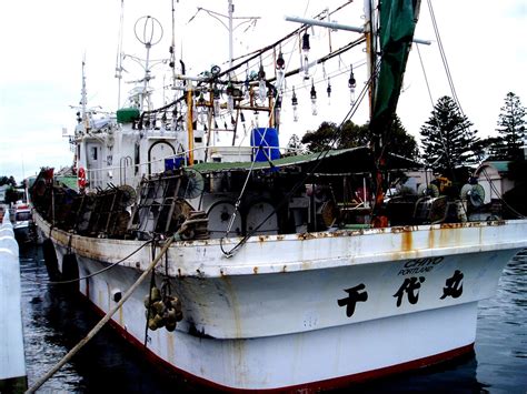 Squid Boat Free Photo Download Freeimages