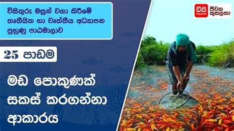 25 මඩ පොකුණක් සකස් කරගන්නා ආකාරය Youtube