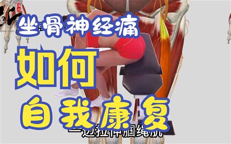 【坐骨神经揭秘（六）】两个关键位置，保姆级指南教你自我康复！ 断层说中医康复 断层说中医康复 哔哩哔哩视频