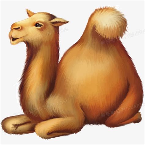 卡通骆驼PNG图片素材下载 骆驼PNG 熊猫办公