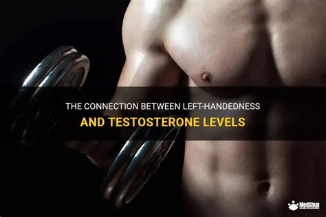 The Connection Between Left Handedness And Testosterone Levels MedShun