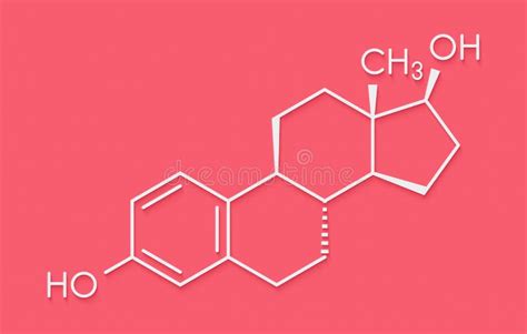 Estradiol Estrogen Female Sex Hormone Molecule Skeletal Formula Stock