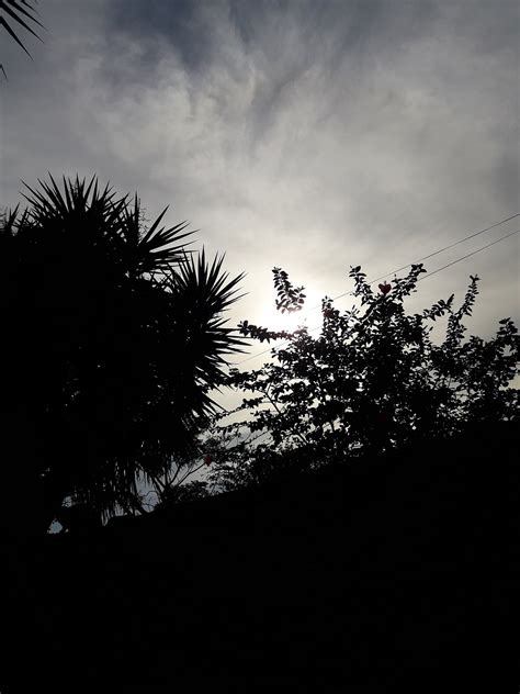 Clouds And Trees So Free Photo On Pixabay