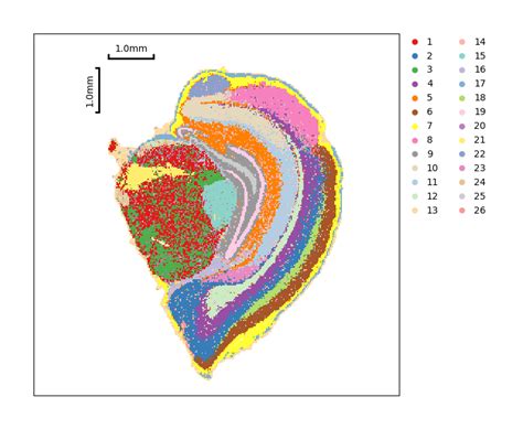 Quick Start Square Bin Stereopy