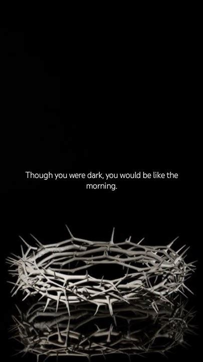 Brighter Than Noonday Youtube