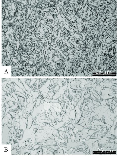 Microstructure Evolution Of Two Steels A Am70 And B G4si1 Scale Bar Download Scientific