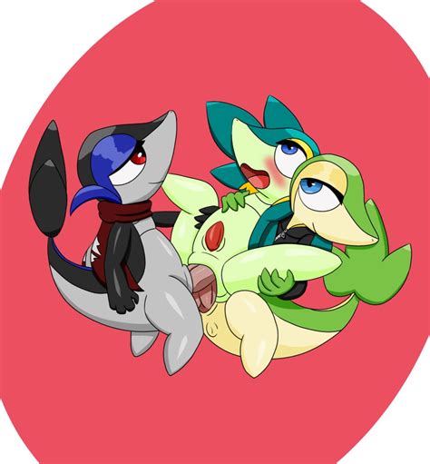 Rule 34 Absurd Res Anal Anal Sex Animal Genitalia Animal Penis Anus