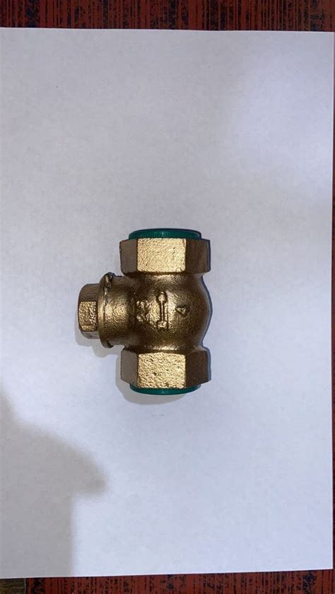 1 Horizontal Ci Check Valve At ₹ 135 Piece Horizontal Check Valve In Ghaziabad Id 2851223152788