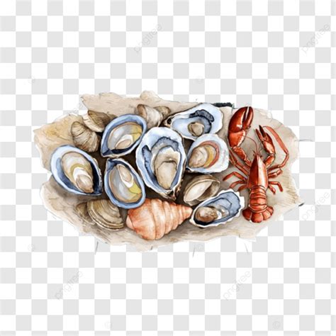 생선 새우를 포함한 다양한 해산물을 보여주는 수채화 그림 생선 새우를 포함한 다양한 해산물을 보여주는 수채화 그림 다양한 해산물을 다채로운 수채화로 묘사한 것 해물