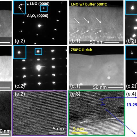 Stem Microstructure Characterization A 1 Cross‐sectional Stem Download Scientific Diagram