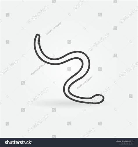 Roundworm Vector Concept Icon Sign Outline Stock Vector Royalty Free 2218160725 Shutterstock