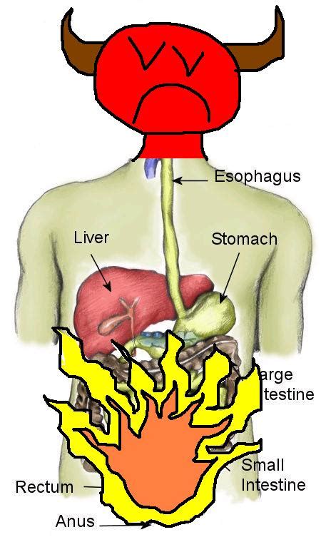 Meatless Maine Crow Happy Rupture Part Ii
