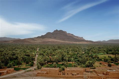 Hoe Tamara Elbaz Trots Blijft Op Haar Afkomst Je Woning Verbeteren