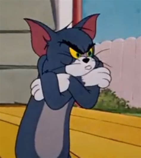 Pin By 𝓳𝓪𝓼𝓶𝓲𝓷 On ضحك Tom And Jerry Cartoon Tom And Jerry Wallpapers