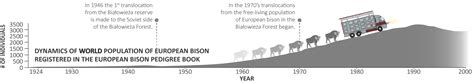 Historical Timeline Of The European Bison Amazing European Bison