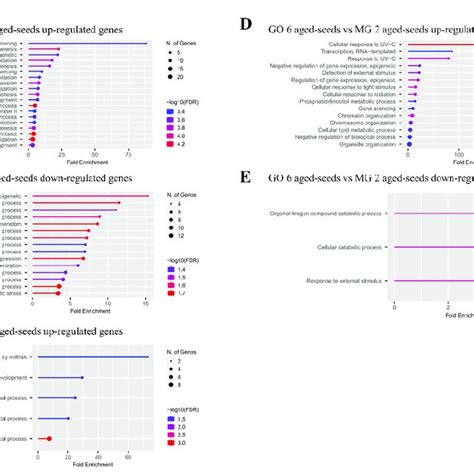 Gene Ontology Go Enrichment Analysis A B Enrichment Analysis Of