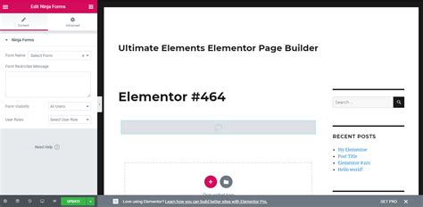 using ninja forms with elementor page builder wp expert developer