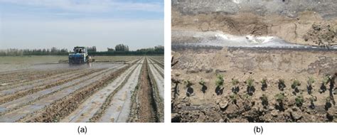 Illustration Of Spatial Dependence Of Subpixel Mapping For Both Hr Case Download Scientific