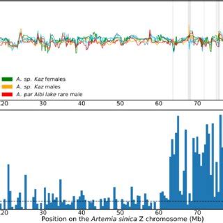 The Sex Chromosomes Of Sexual And Asexual Individuals A Coverage Download Scientific Diagram