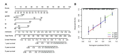 Prediction Nomograms A Nomogram Model Based On Clinicopathological Download Scientific