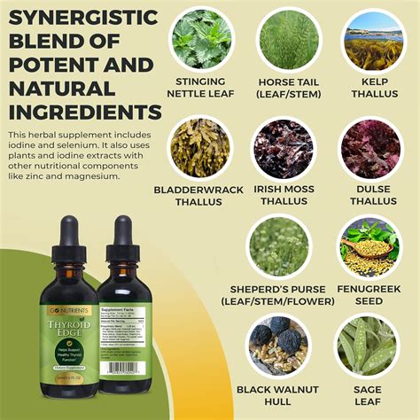 Buy Go Nutrients Thyroid Edge Thyroid Support Dietary Supplements To