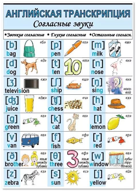 Пин от пользователя Лиана Сакаева на доске Русско Английский перевод словарь Транскрипция