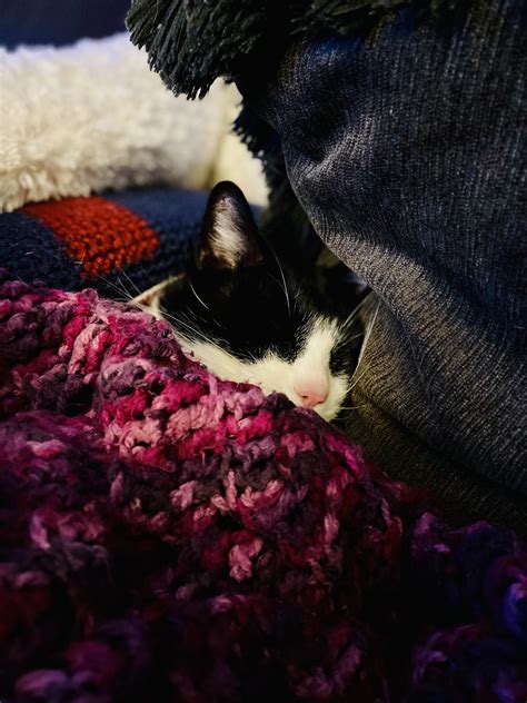 Sleepy Kitty Count R Tightpussy