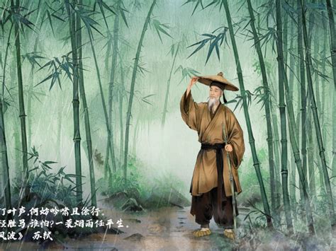 Whee《定风波》苏轼z99616748 站酷zcool