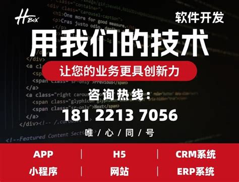 福州软件开发