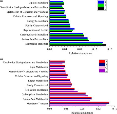 Functional Predictions Of Different Body Size Lake Anchovy Using Download Scientific Diagram