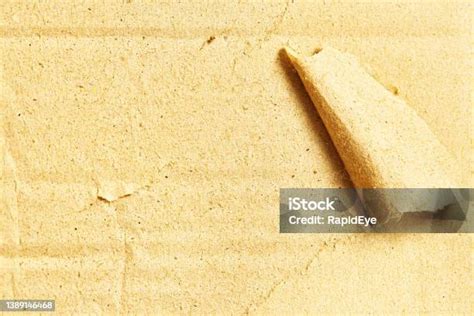 상자에서 찢어진 골판지 층 복사를위한 빈 공간을 많이 떠나 0명에 대한 스톡 사진 및 기타 이미지 0명 갈색 거친 Istock