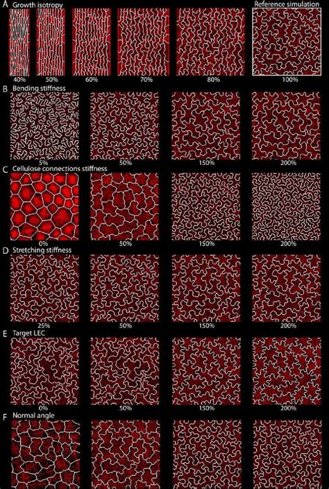 Figure Supplement 1 Parameter Space Exploration For Key Model Download Scientific Diagram