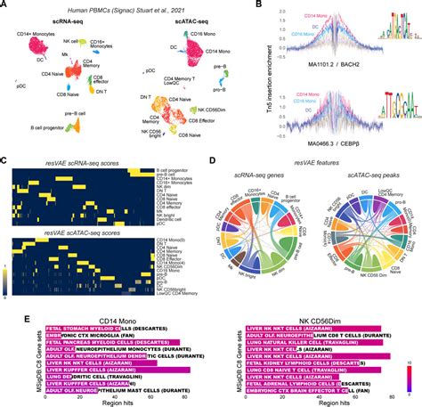 Frontiers Resvae Ensemble Unsupervised Identification Of Gene Sets In Multi Modal Single Cell