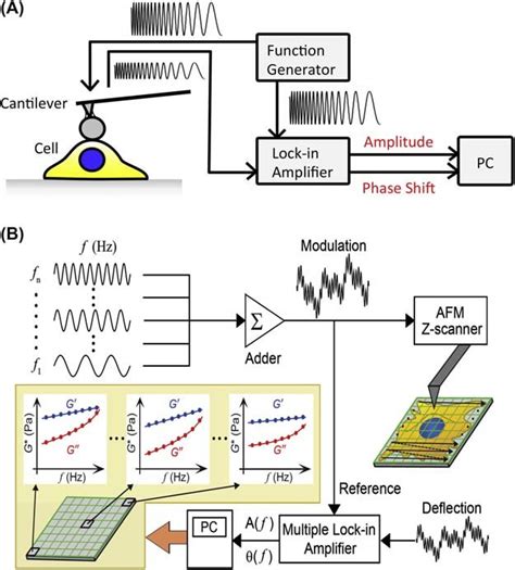 3 A Conventional Force Modulation Afm B Multifrequency Force Download Scientific Diagram