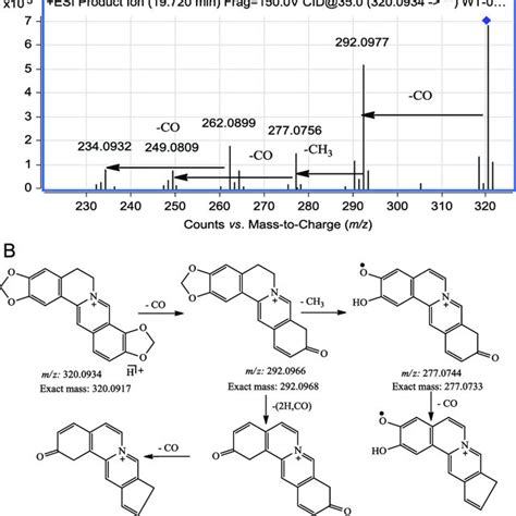 Ms Ms Spectrum And Fragmentation Pathway Of Berberine Download Scientific Diagram