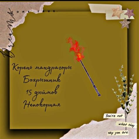 Анкета на декана Wiki Hogwarts Rus Amino
