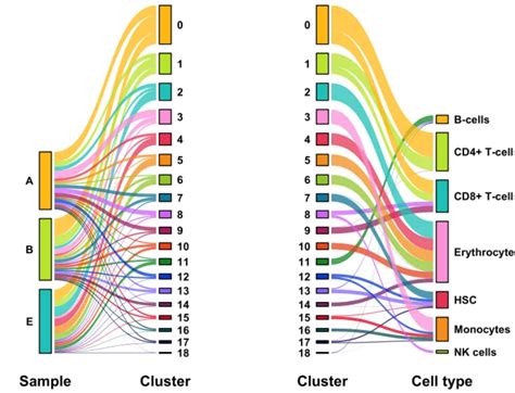 单细胞究极美图！scrna Seq工作流程示例，图片美化单细胞umap图美化 Csdn博客