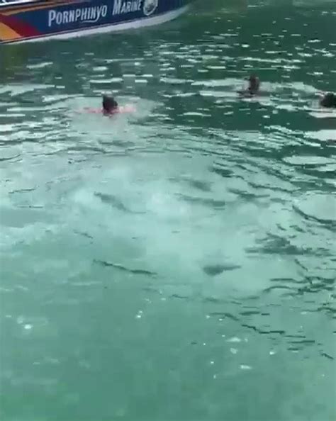 Post Meat Beast Tumblr Com Tumbex