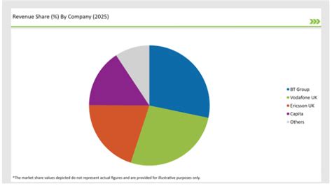 Uk Network Function Virtualization Market Size 2025 2035