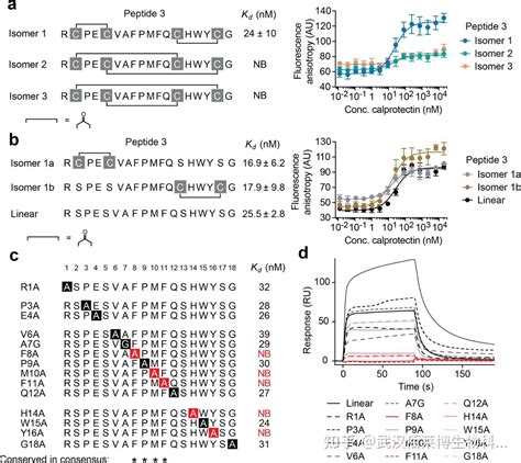 表面等离子共振 Spr 实验技术 知乎