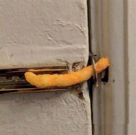 Get Your Free Ssl Security Certificate Here Uk