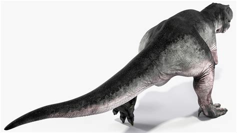 T Rex Running Animated Rigged For Cinema 4d 3d Model 199 C4d Free3d