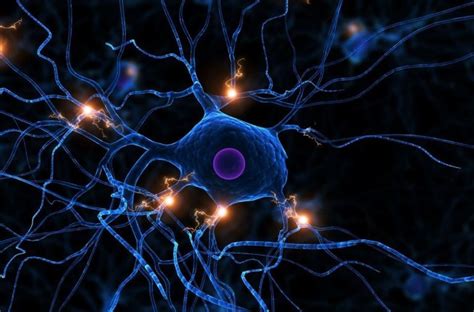 Axonopathy Types Symptoms Causes Treatment Myelinopathy Vs Axonopathy