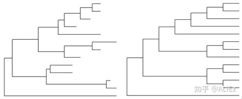 R语言绘制进化树：treeioggtree 知乎