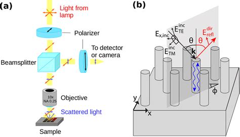 A Schematic Presentation Of The Optical Microscopy Setup Polarized Download Scientific