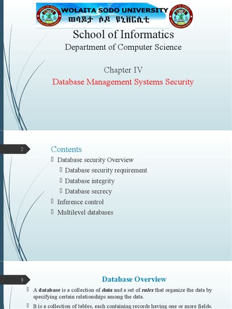 Chapter Iv Computer Security Pdf Databases Security