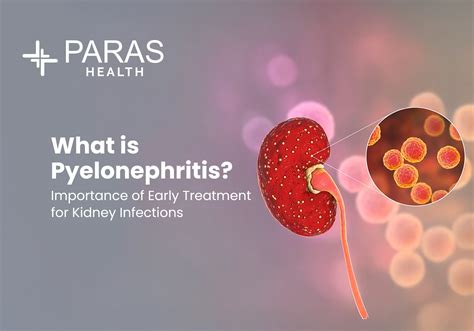 Urine Infection Uti Symptoms And Causes