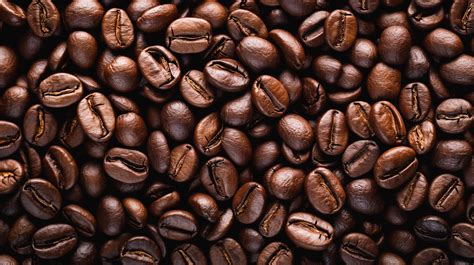 Close Up Of Coffee Beans Photo On Lummi