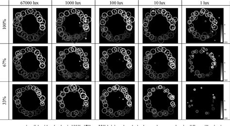 Figure 10 From An Address Event Vision Sensor For Multiple Transient Object Detection Semantic