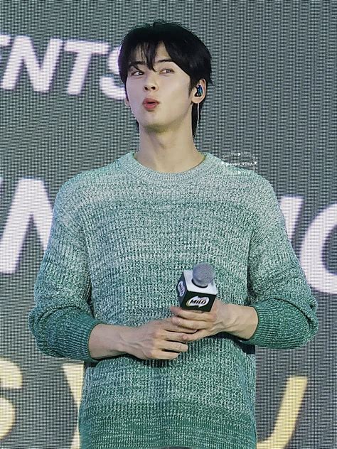 차은우 태국 행사 참석  연예이슈 수다방 네모판